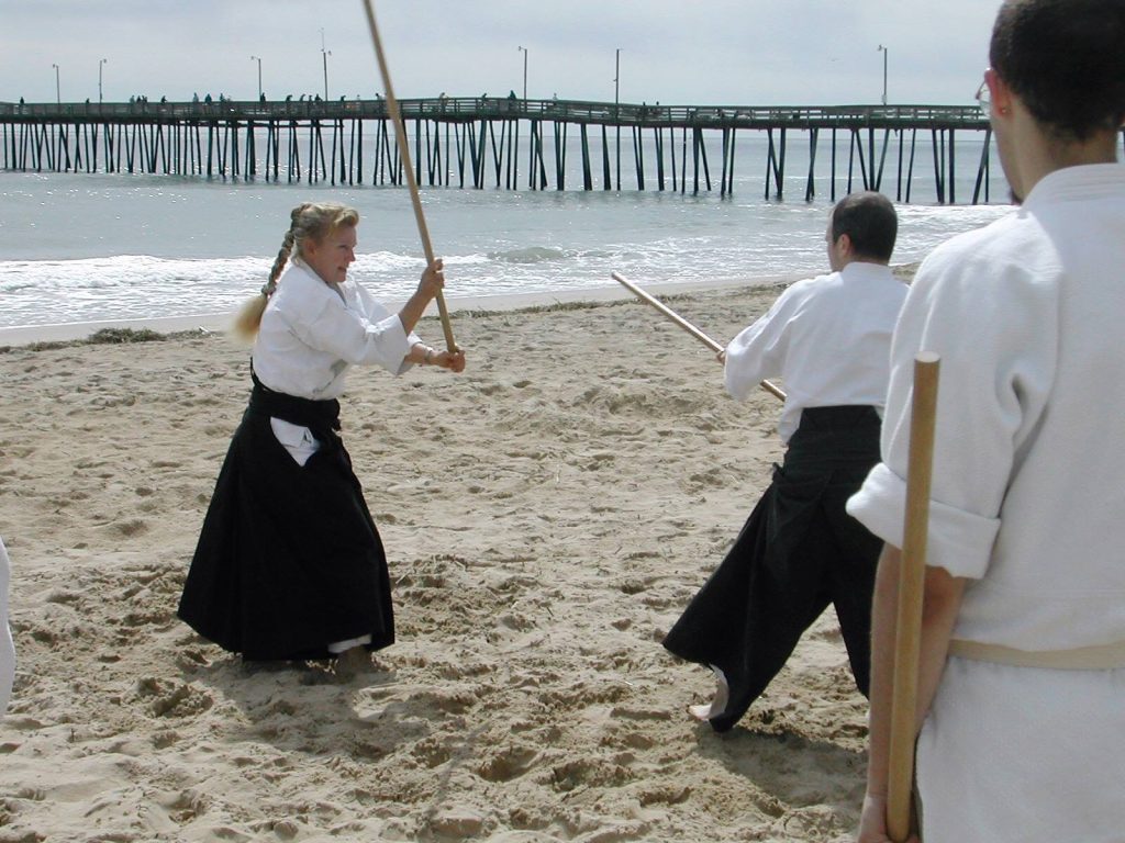 The 4 Elements - July 2023 Weapons Seminar - Aikido of San Leandro